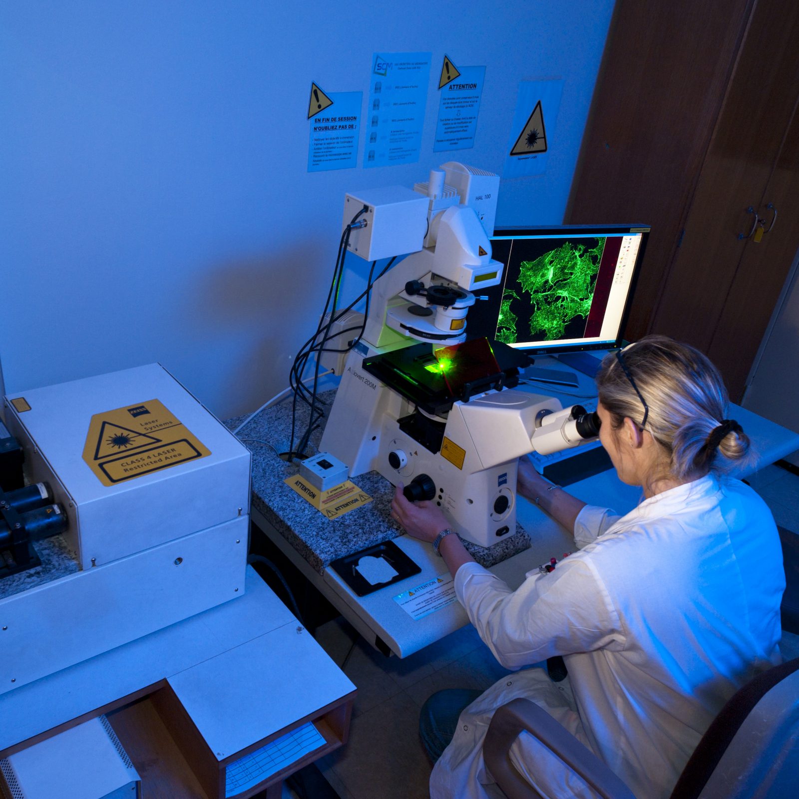 Program – Master BME